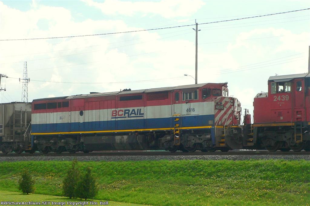 BCOL 4616